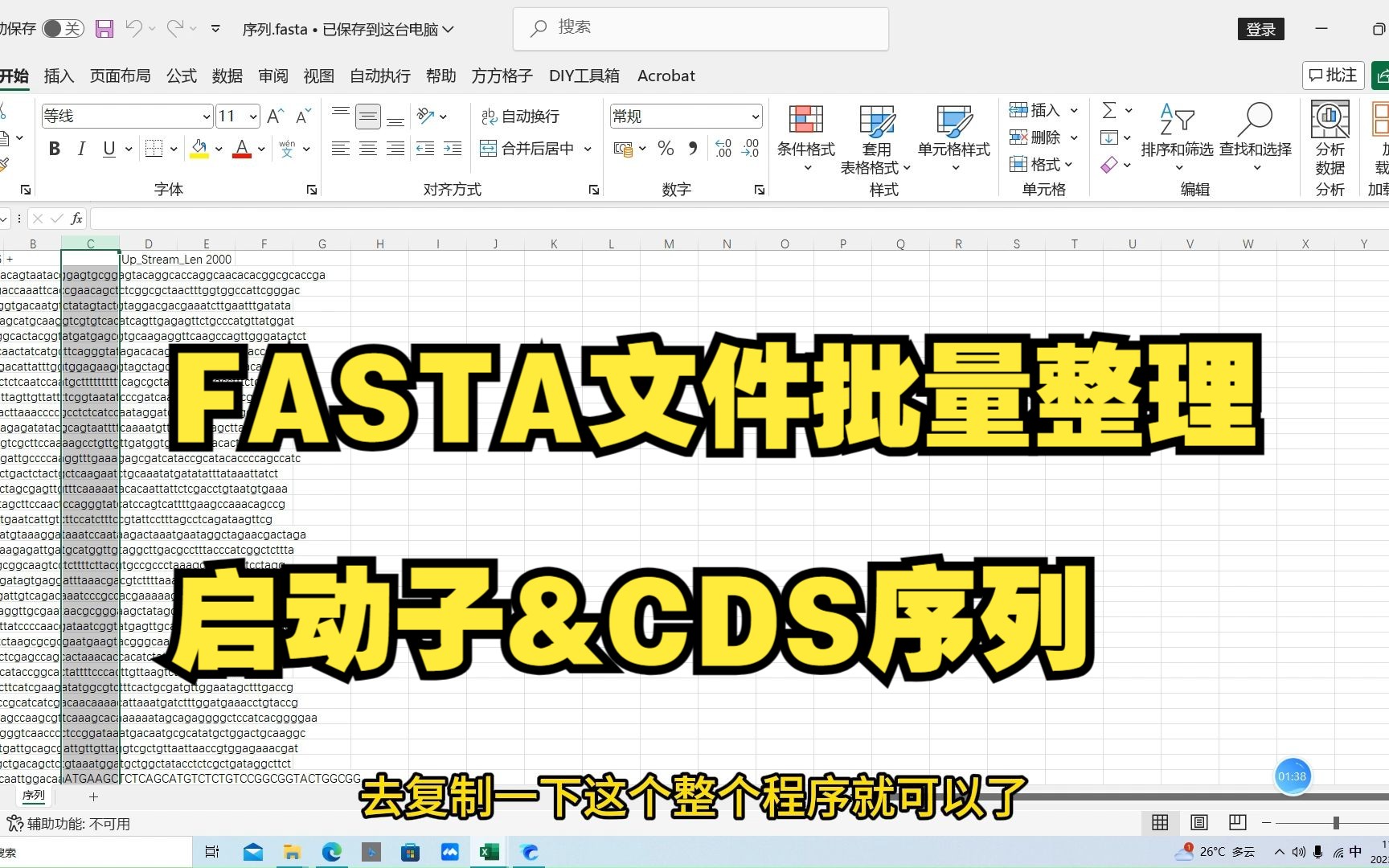 fasta文件整理启动子和CDS序列