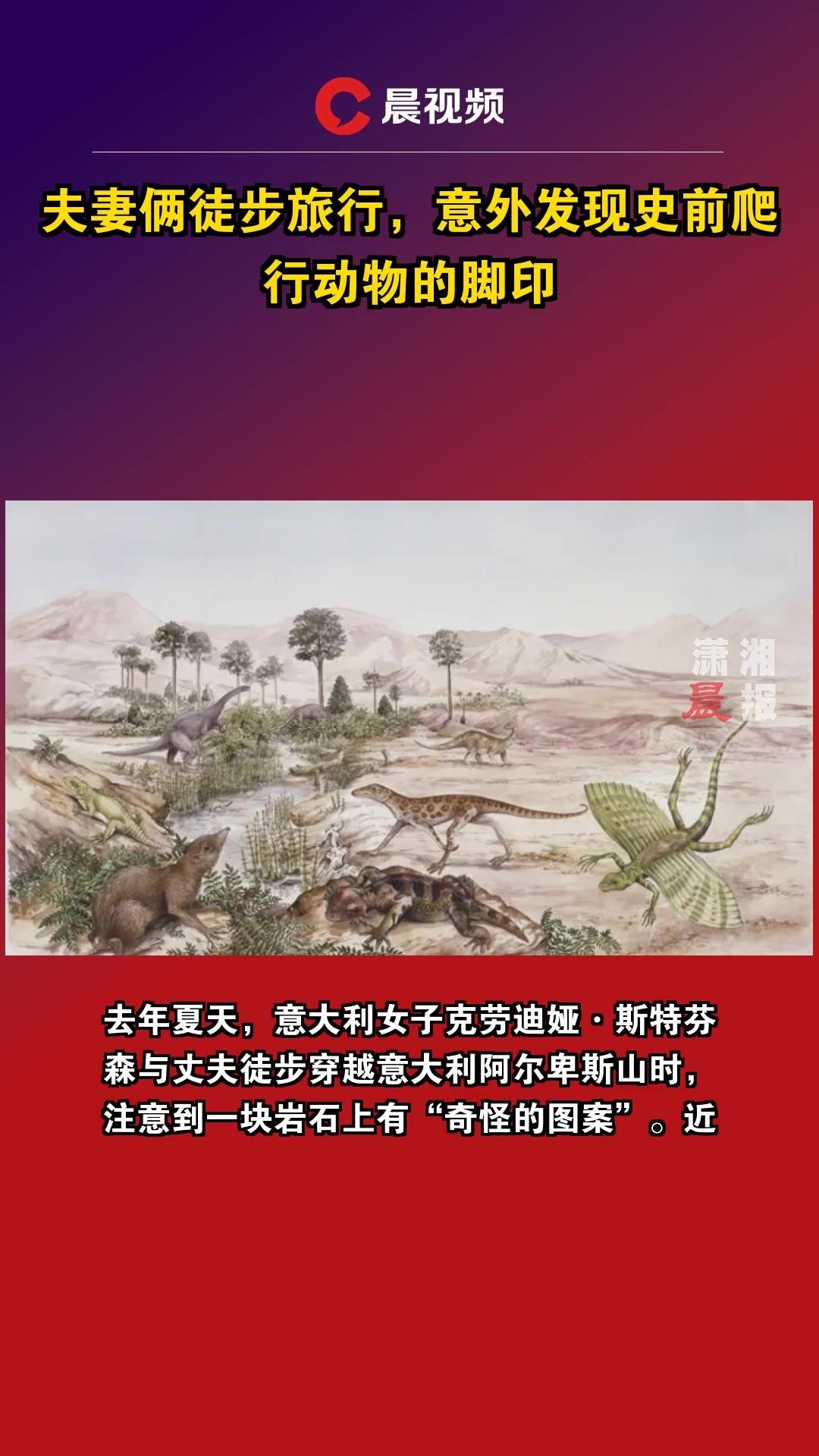 夫妻俩徒步旅行,意外发现史前爬行动物的脚印