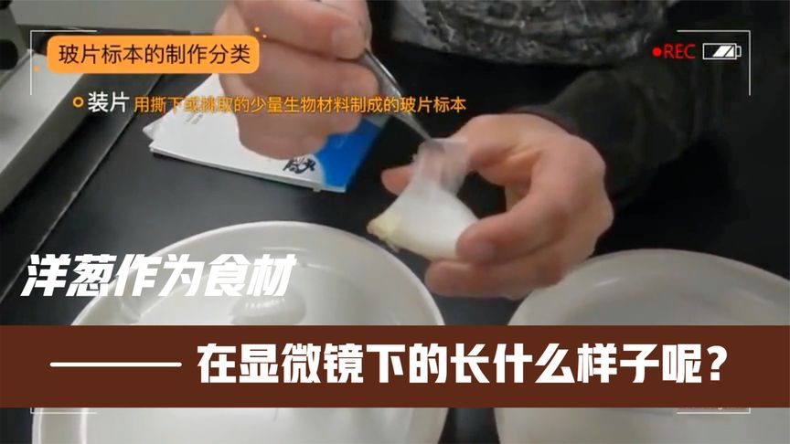 有了显微镜,我们怎样才能动手看到自己的细胞?7.1.15玻片标本