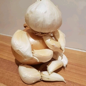 平平凡凡の小白 