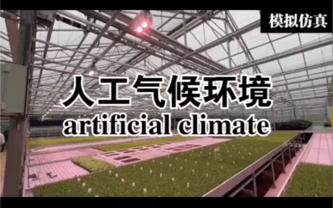 稀奇!办公室里种水稻,沙漠里养海鱼,雪山种香蕉…数字农业•人工气候...