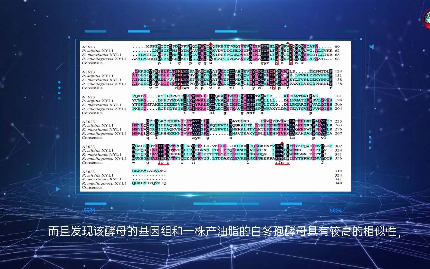 赵心清团队首次在松萝样品中分离到耐低温酵母Curvibasidium rogersii...