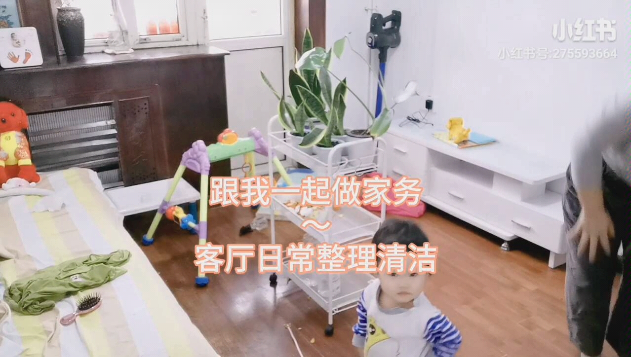 跟我一起做家务|客厅日常整理清洁