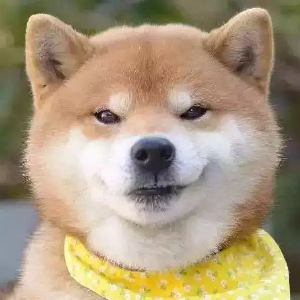 荷月廿五 