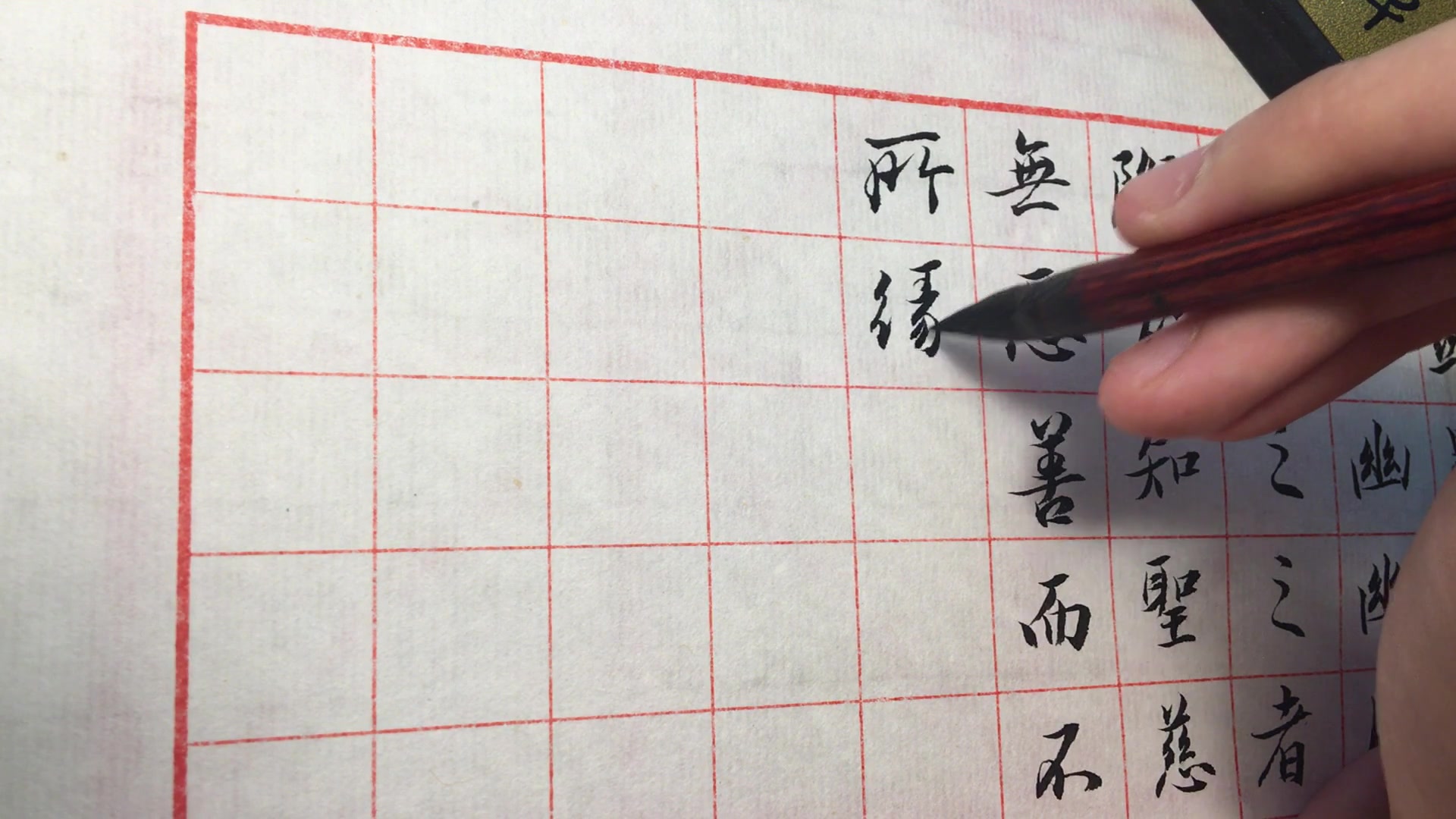【手写】【软笔练字向】每天都来上那么一张!