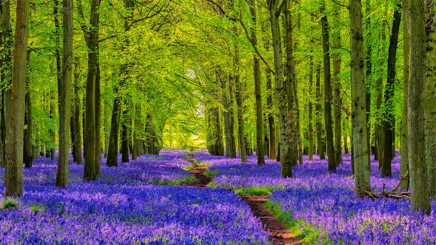 成功的秘诀在于永不改变既定的目标。