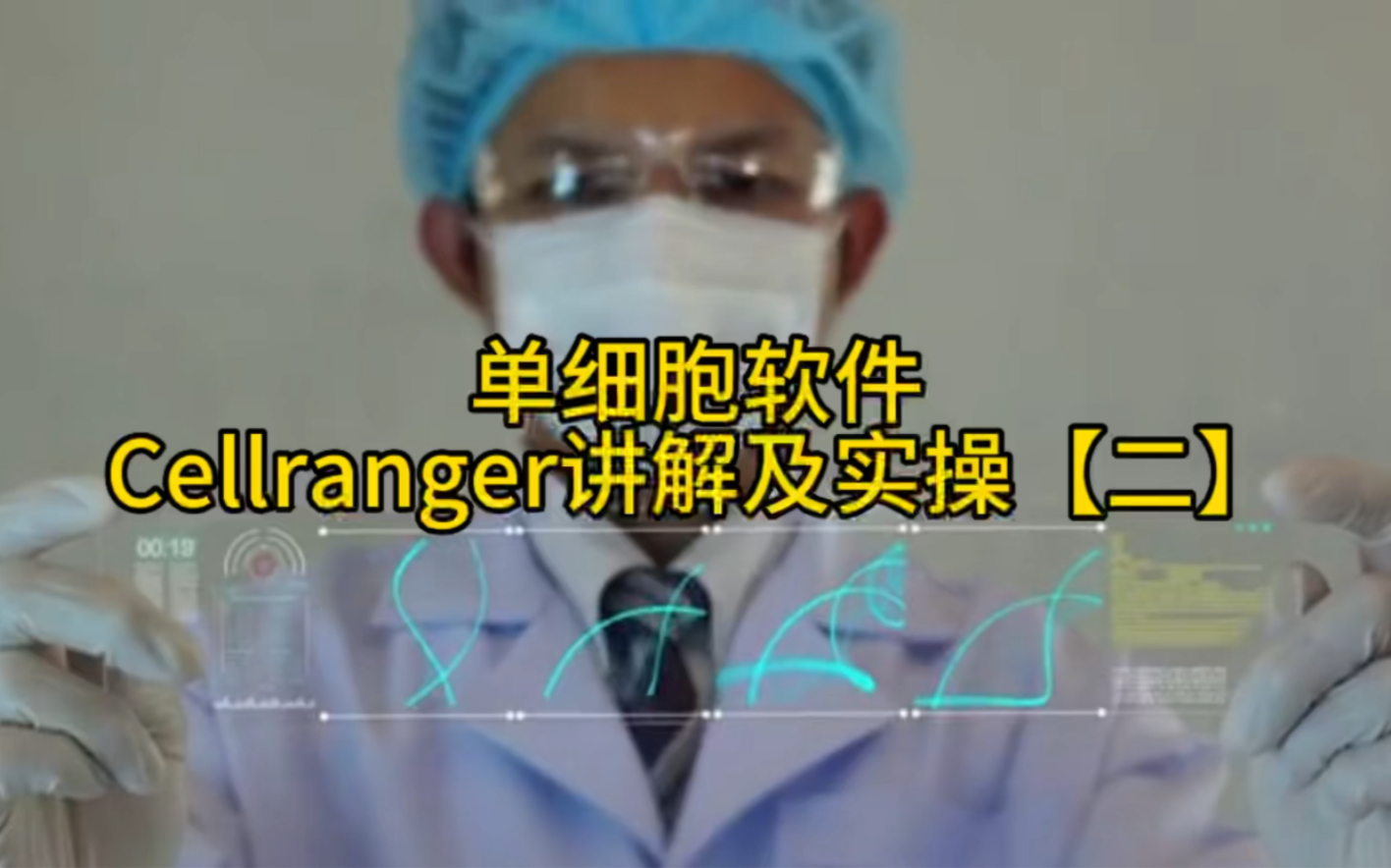 内部视频|单细胞及空间转录组设计分析Cellranger讲解及实操二
