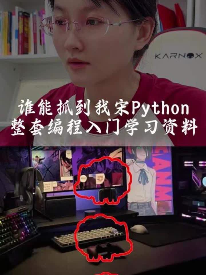 挑战一下真心想学Python编程的来