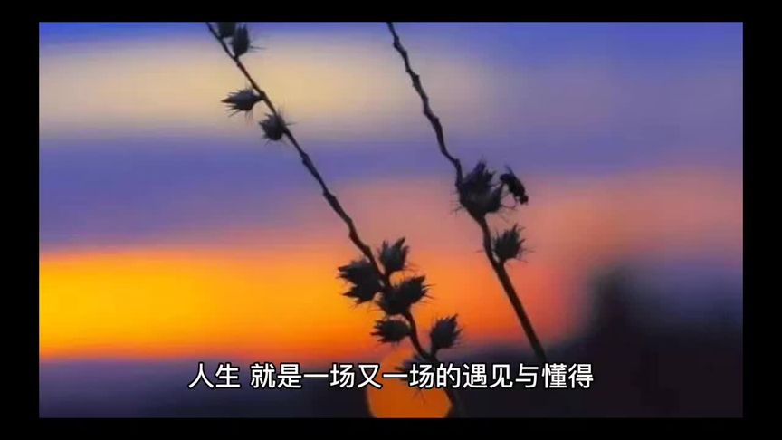 人生就是一场又一次遇见和懂得#情感 #情感书单 #经典语录