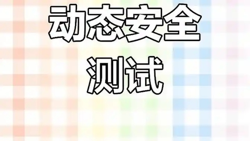 安全开发生命周期中的动态分析