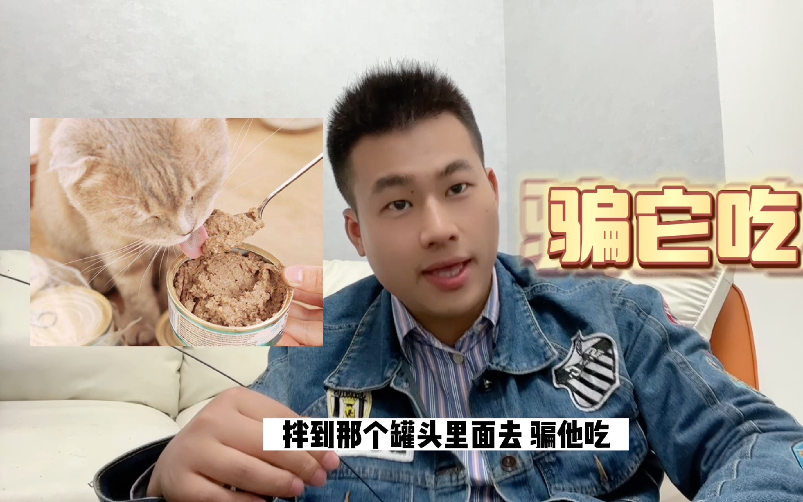 猫咪能吃维B吗?所有猫都需要吃维B吗?维B对猫癣有什么作用呢?