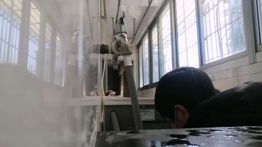 西门子滚筒洗衣机不通电的维修办法