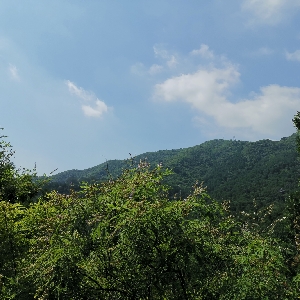 贾律师说 