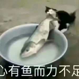 罴卡丘 