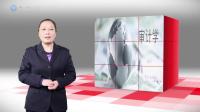 审计学原理与案例李晓慧案例分析 现代审计学的知识点 审计学有