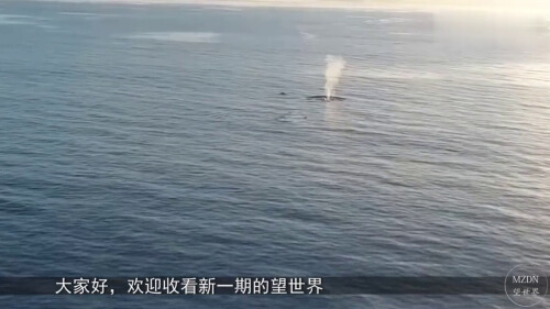 世界第一“魔鬼海啸”，巨浪高达525米，幸存者至今都恐慌！