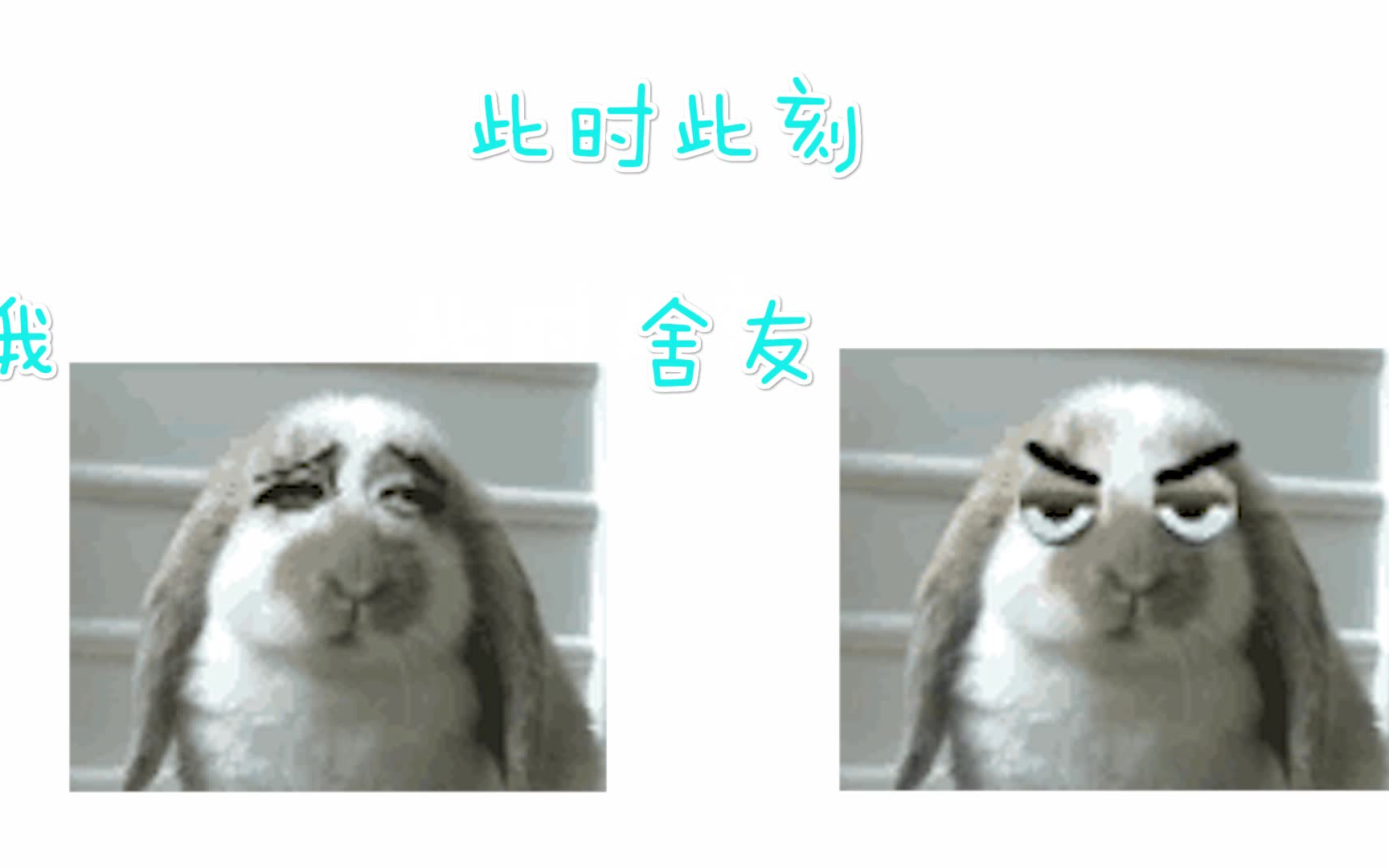 【学生党实用技巧】一分钟教你写无限弹窗指令,恶搞舍友!