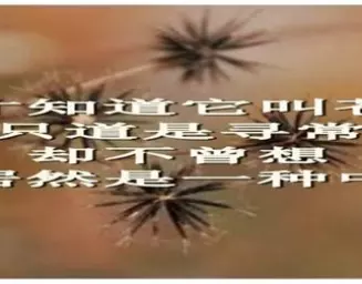 野外遇到这东西千万别错过,这可是效用极好的中草药啊