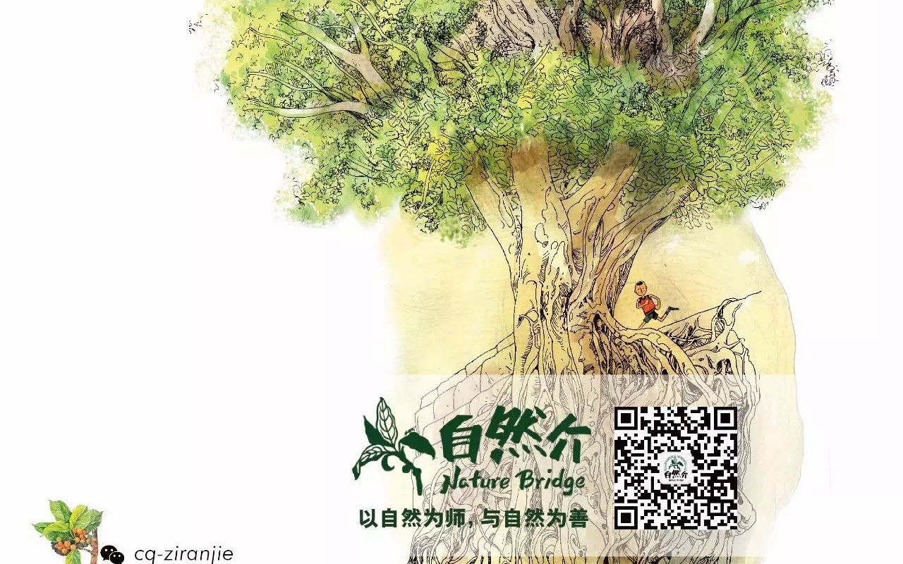 2020年森林旅游地自然讲解志愿服务活动视频