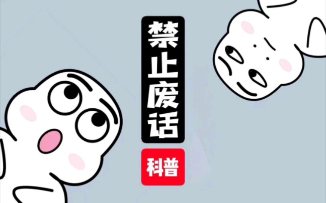 最危险的原始森林是哪里?