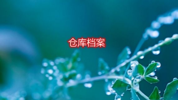 用友T+如何增加仓库档案#办公软件技巧 #会计