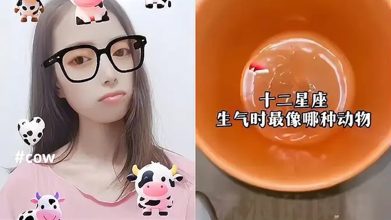 十二星座生气时最像什么动物,娱乐一下