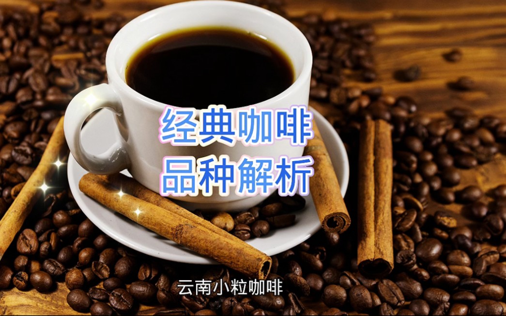 经典咖啡品种解析