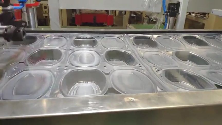 PP密封打包盒,就是这样生产出来的!吸塑1分钟20模。#我与中国