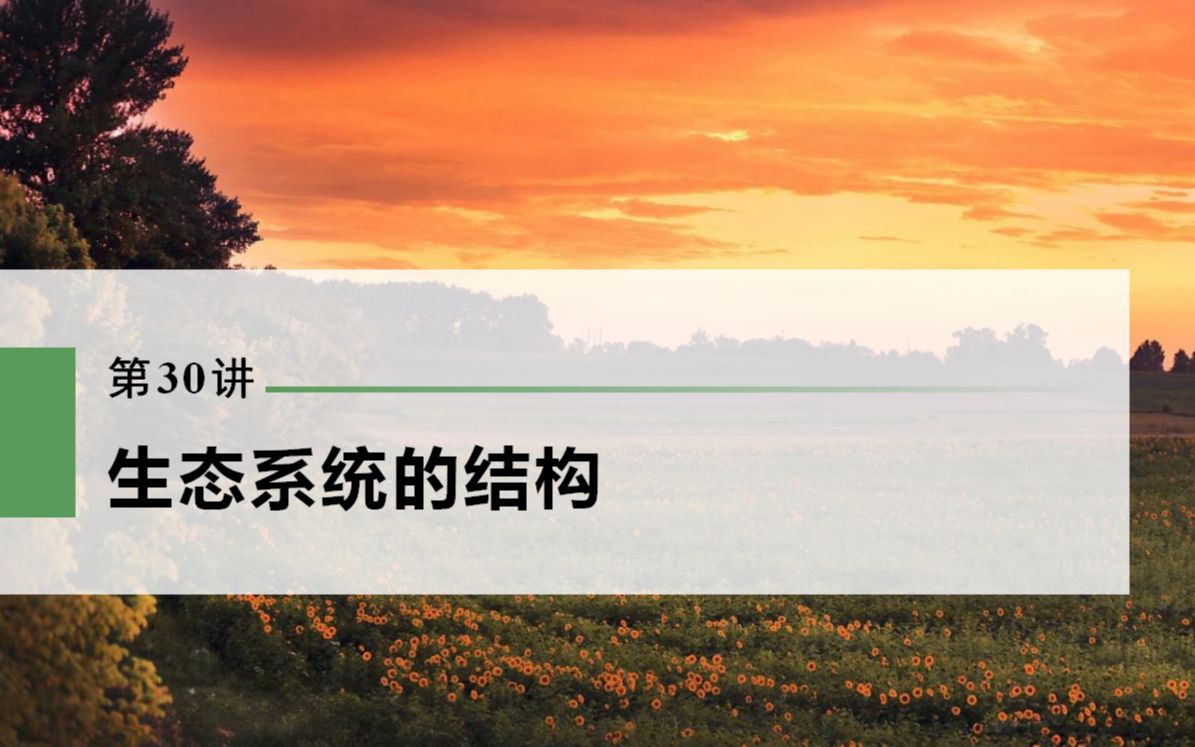 生态系统的结构 高三复习课