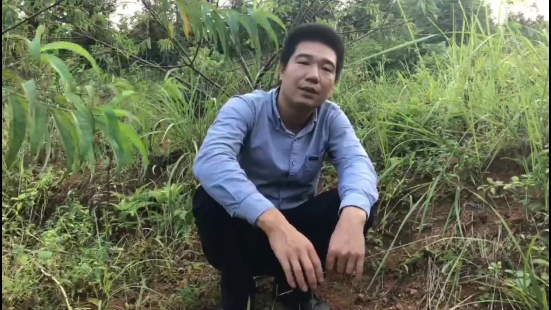 农村小时候玩的地牛,它的窝像漏斗,边挖边念才会出来,你认识吗