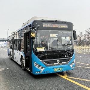 Tsbusfan141375 