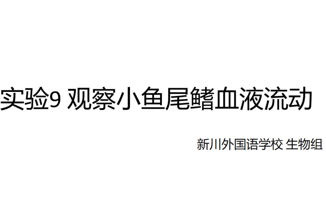 实验9观察小鱼尾鳍血液流动