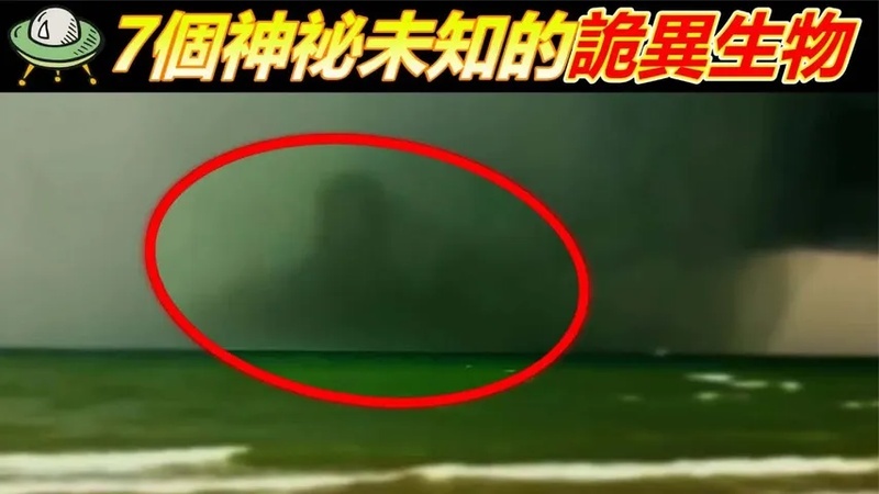美军拍摄到与神秘生物的战斗! 7个神秘未知的诡异生物