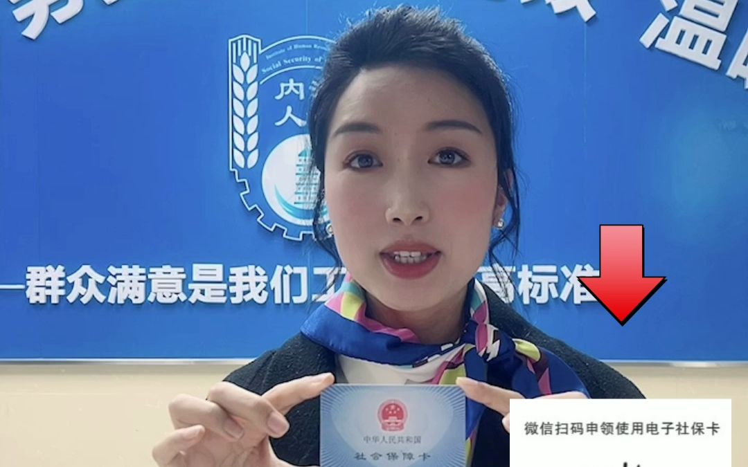 8.讲解-社会保险-内江-电子社保卡系列功能之应用状态查询