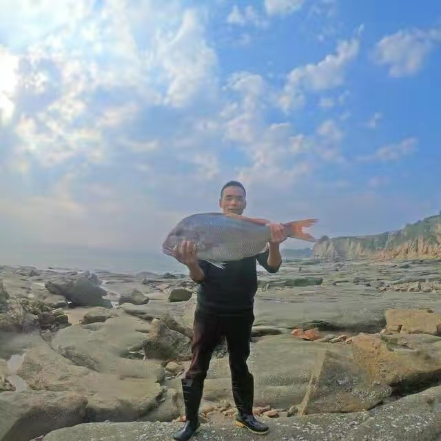 怪才赶海 