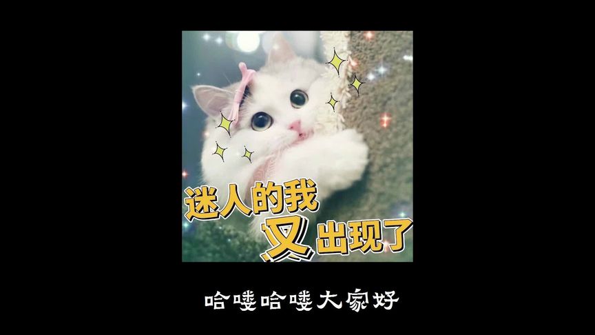 瑞幸咖啡自爆财务造假22亿!面临巨额诉讼,它最终会破产吗?