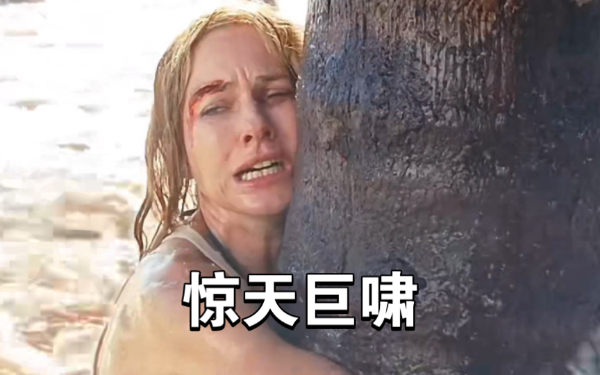 根据真实事件改编～04年印度洋海啸 豪称国外版唐山大地震!