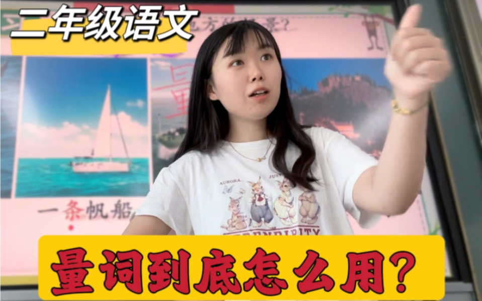 量词到底怎么用?作用对象很重要❗️