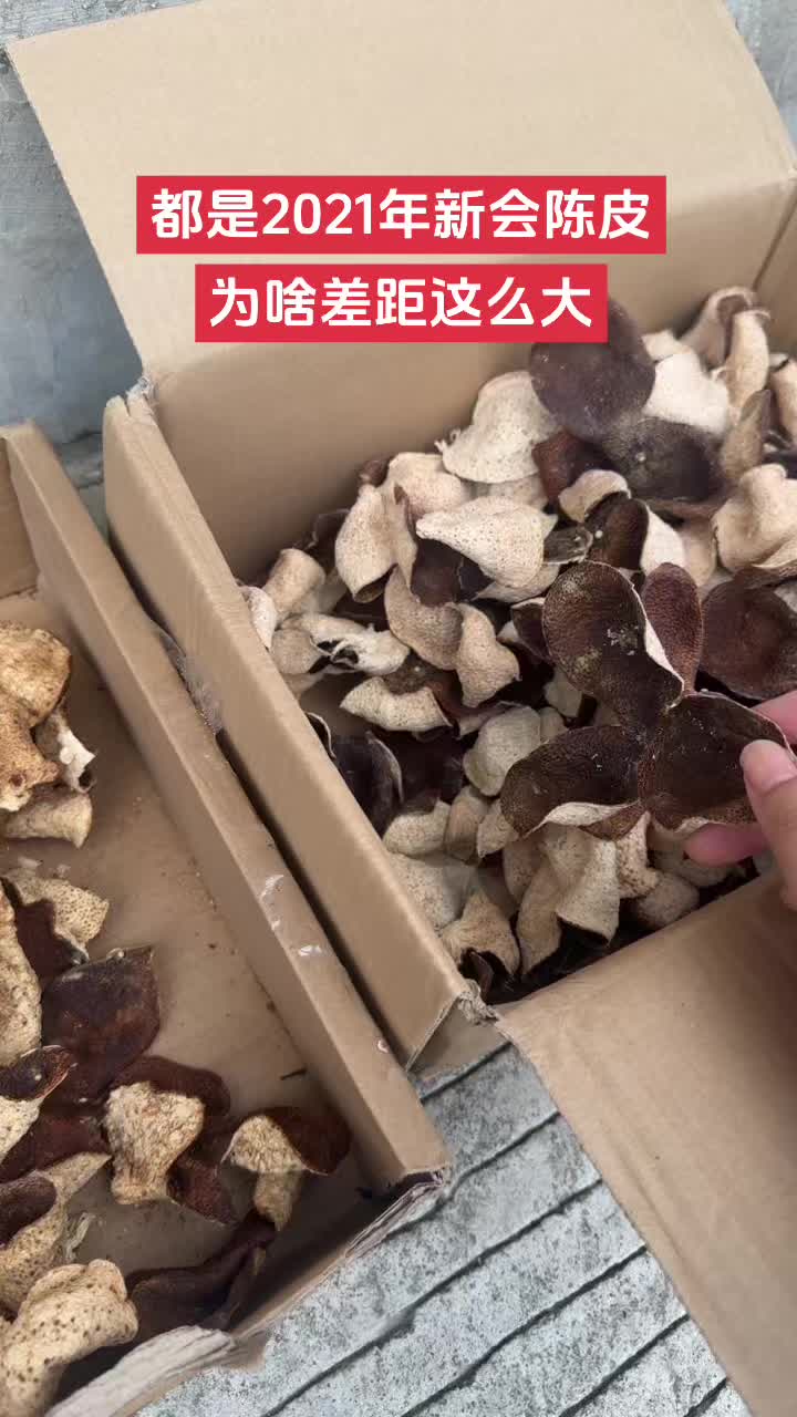 同一年的新会陈皮,差距为何这么大 #陈皮 #新会陈皮 #彩总优选
