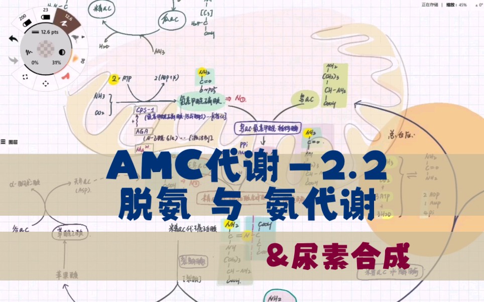 氨基酸代谢～第三波来喽～2.2脱氨 与 氨代谢～怪怪～体内血氨的来去...