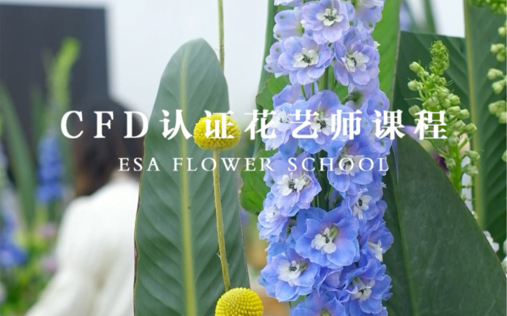 ...不仅获得甲方客户对你的资质认可,更是让自己学习到正统的花艺设计...