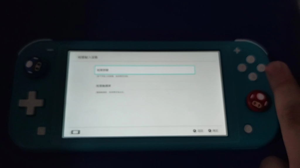 出一台任天堂Switch lite破解机,详细看简介