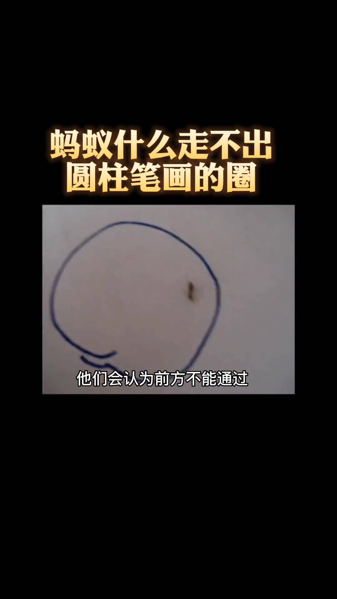 我们固常所使用的圆珠笔