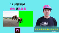 如何去掉绿布更换自己想要背景,PR一招搞定