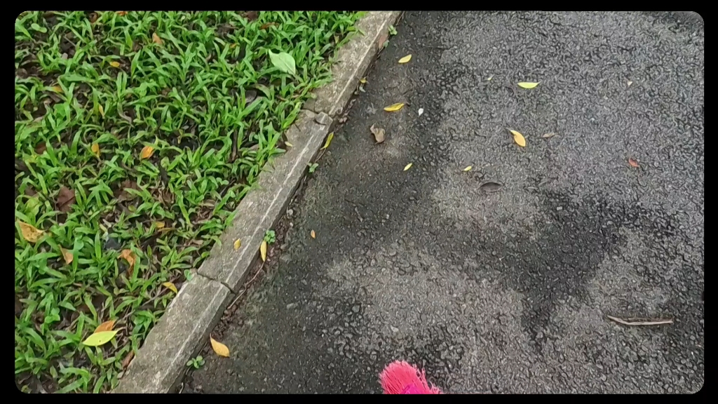 [校园vlog]劳动教育课程——“劳改课”|vlog|又是做苦力的一天