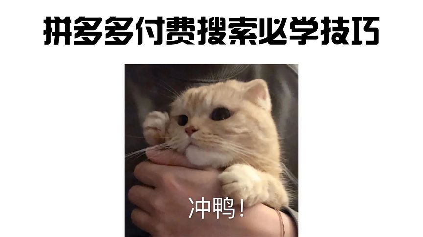 拼多多运营付费推广实战技巧