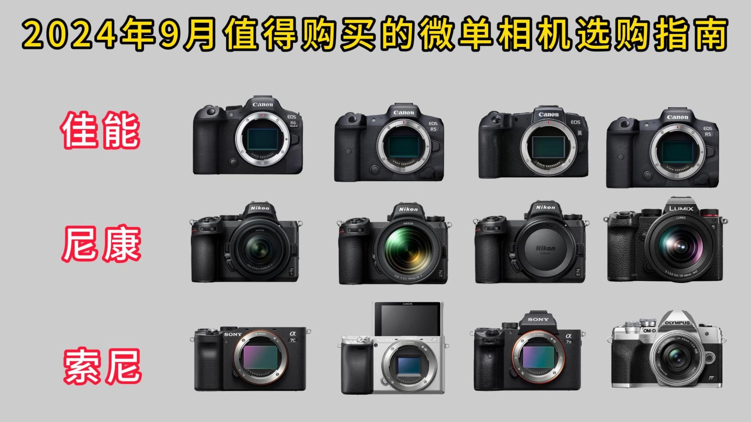 新手微单相机买什么?全画幅APSC各品牌推荐 4000-20000,从入门到...