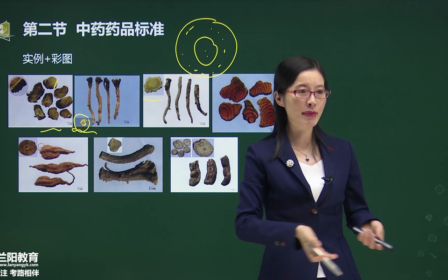 12、第一章 中药与药品质量标准 第二节 中药药品标准(二)