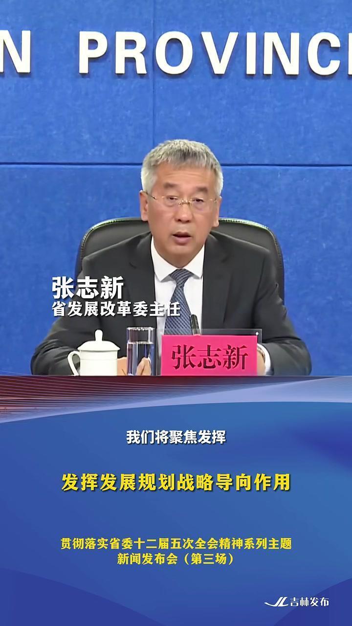 发挥发展规划战略导向作用