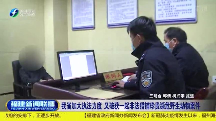 福建又破获一起非法猎捕珍贵濒危野生动物案件|福建新闻联播0306